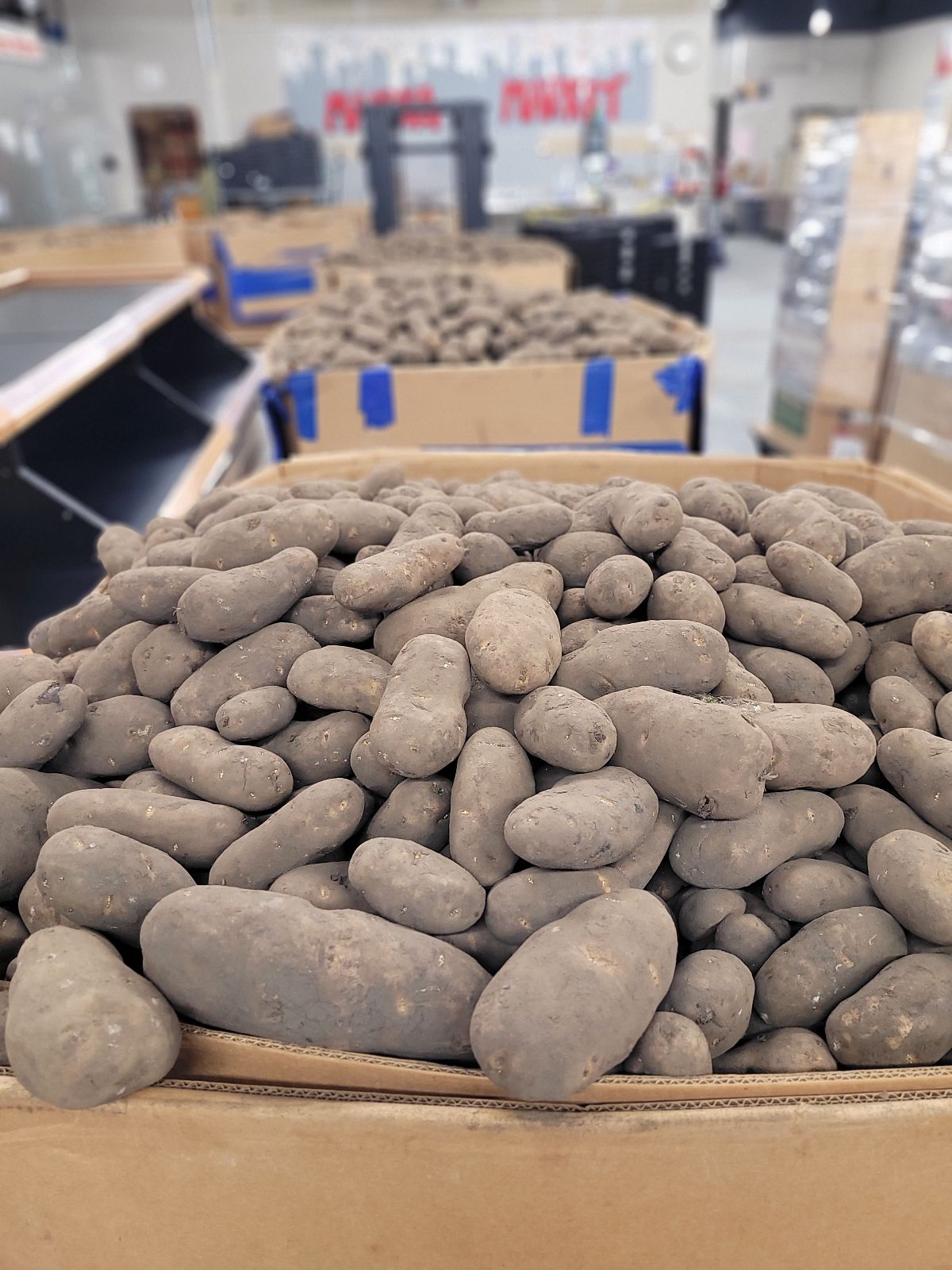 Divine Provision: Over 200,000 Pounds of Potatoes and a Prayer Answered ...